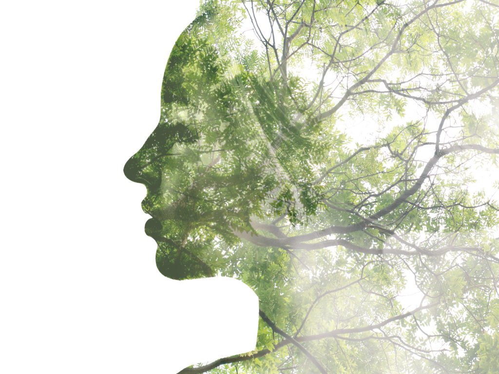 Fostering Social Connectedness Through Nature and Art – Social ... Fostering Social Connectedness Through Nature and Art – Social ...